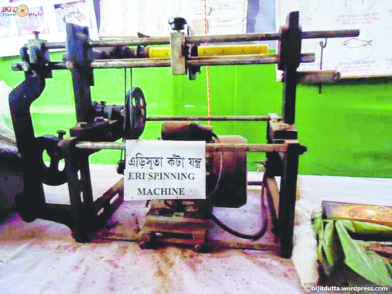 A ray of sunshine for Assam silk spinners - Telegraph India