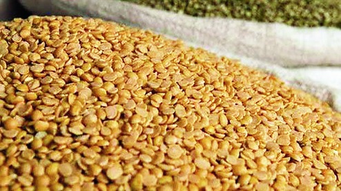 Arhar roots traced to MP - Telegraph India