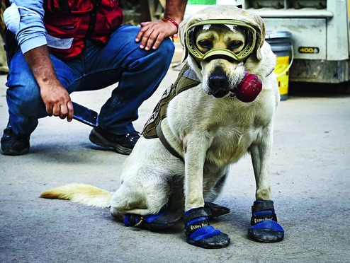 Frida steals Mexico hearts - Telegraph India