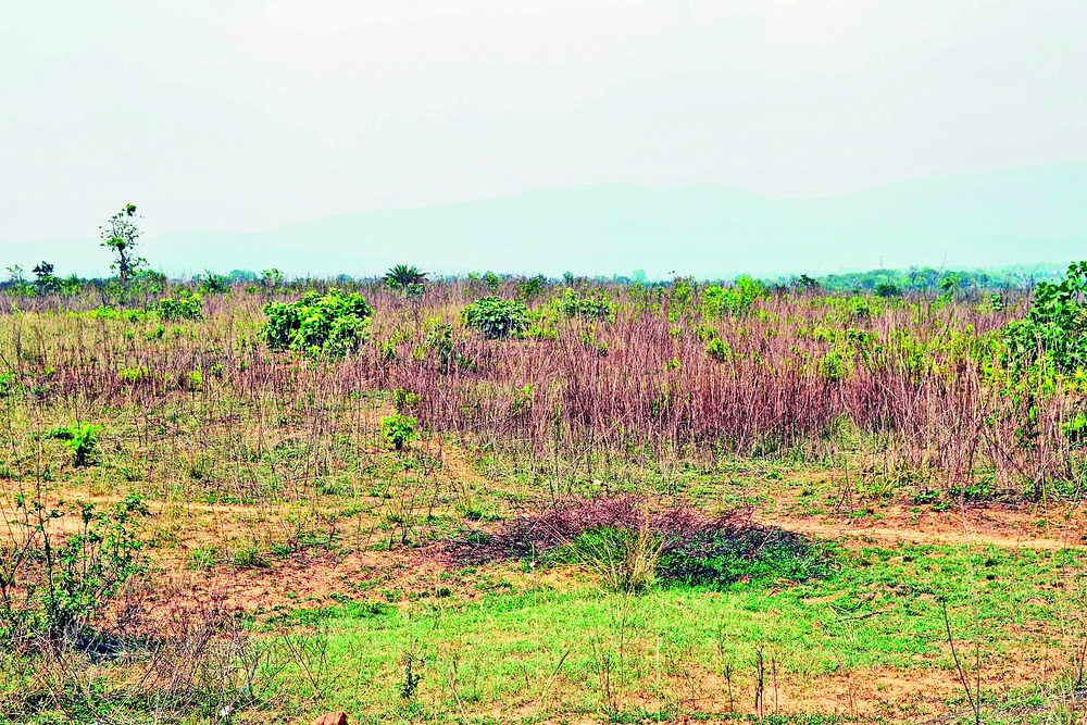 Spadework before gold - Telegraph India