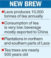 Local flavour to Laos tea promotion - Telegraph India