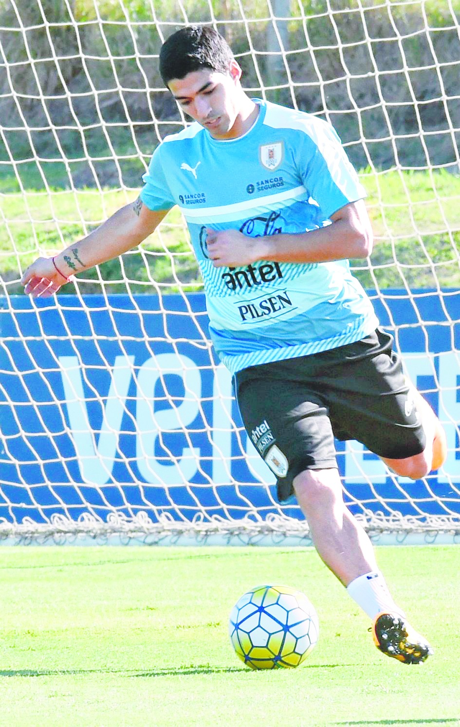 Brazil ready for Suarez - Telegraph India