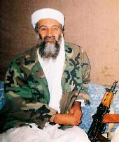 Iraq godsend for Osama: Survey - Telegraph India