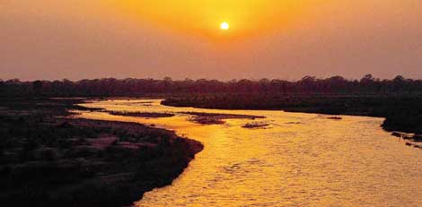 Next weekend you can be at ... Chilapata - Telegraph India