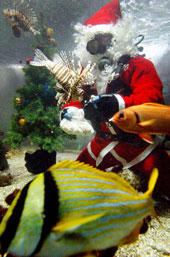 Aquatic treat for Nandan Kanan visitors - Telegraph India