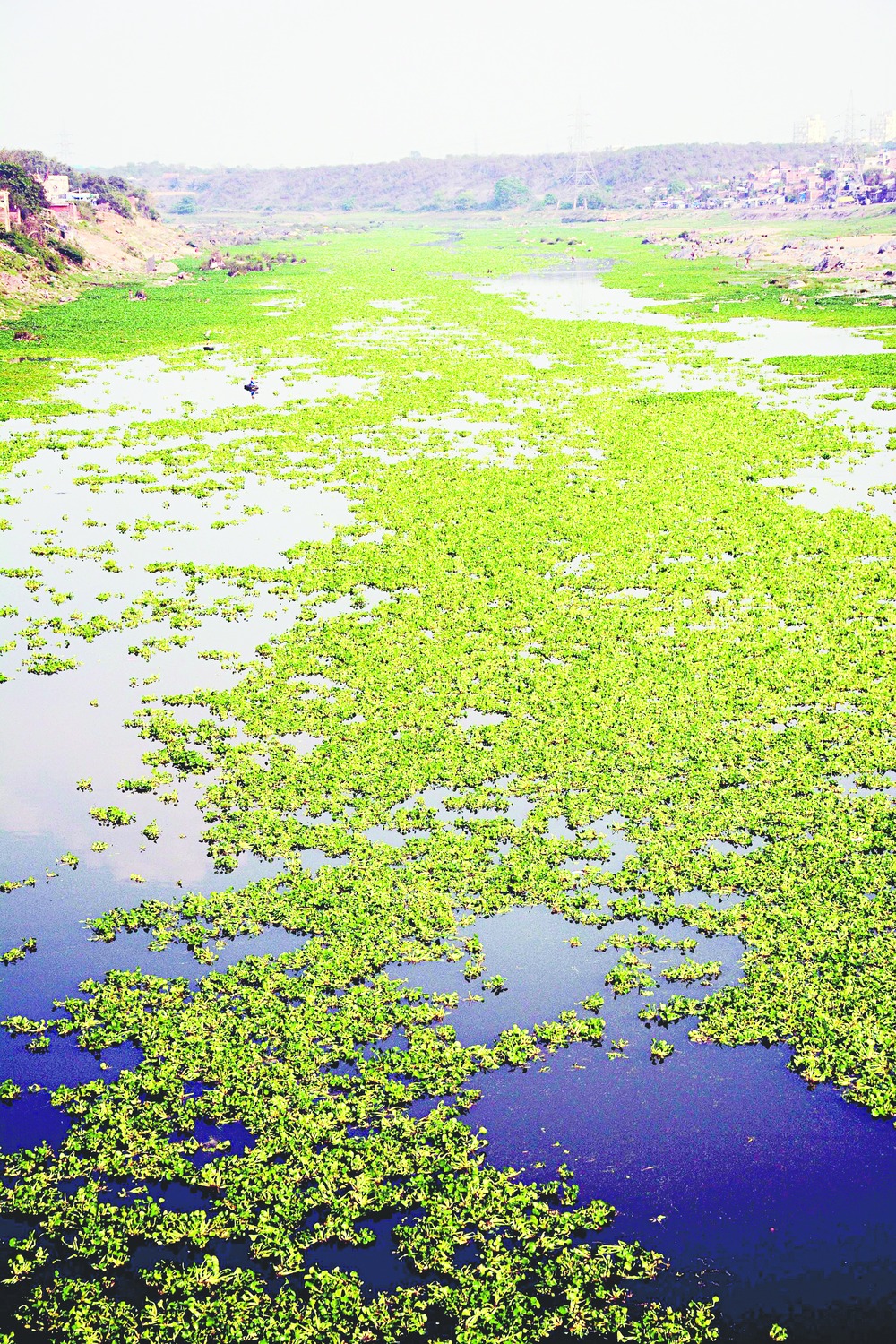 Emerald bomb ticks on river - Telegraph India