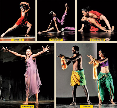 Dance as a language of expression - Telegraph India