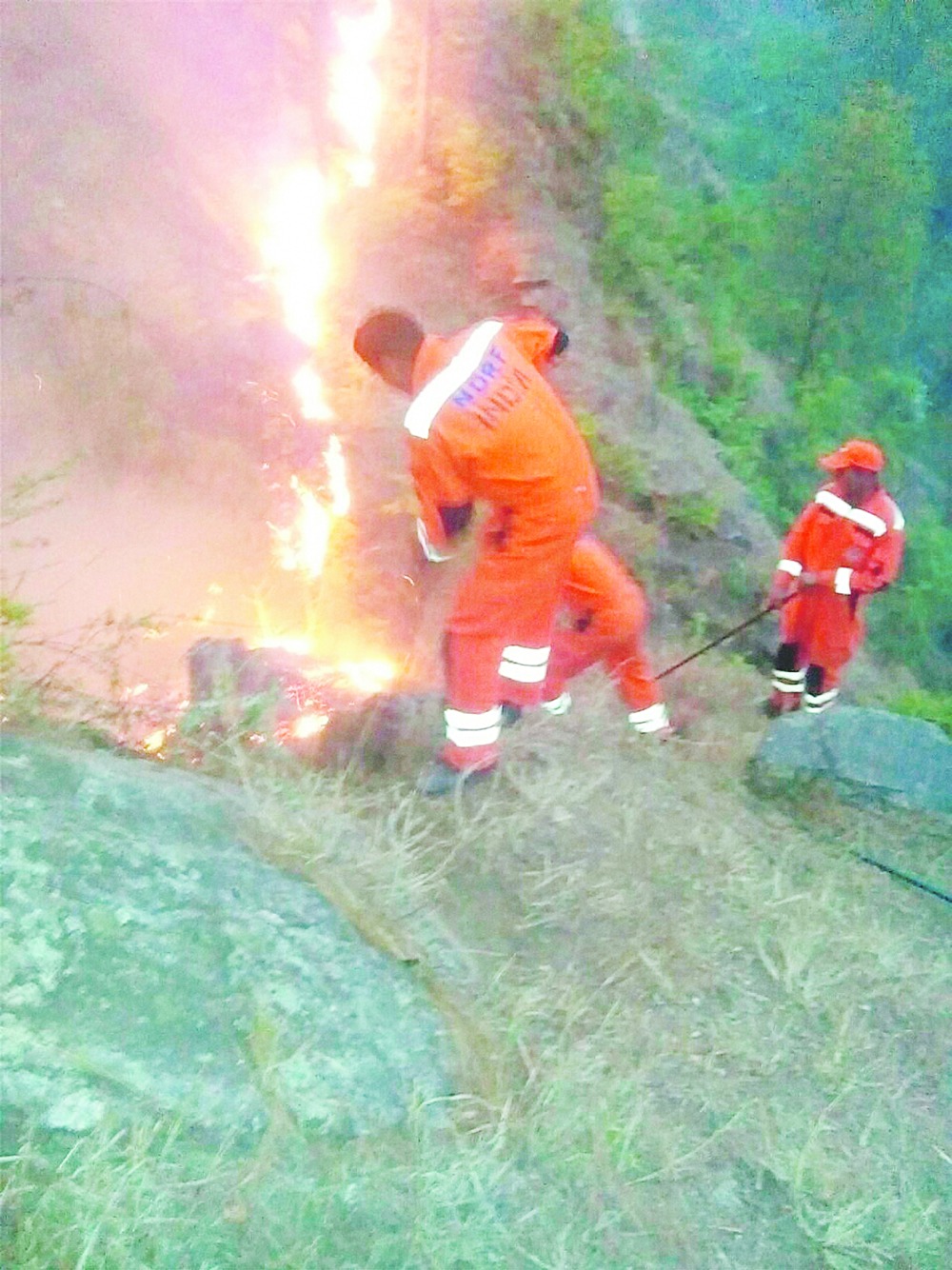 Forest fires in parched state - Telegraph India