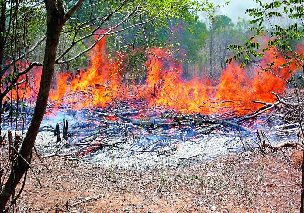 Podu heat on forests - Telegraph India