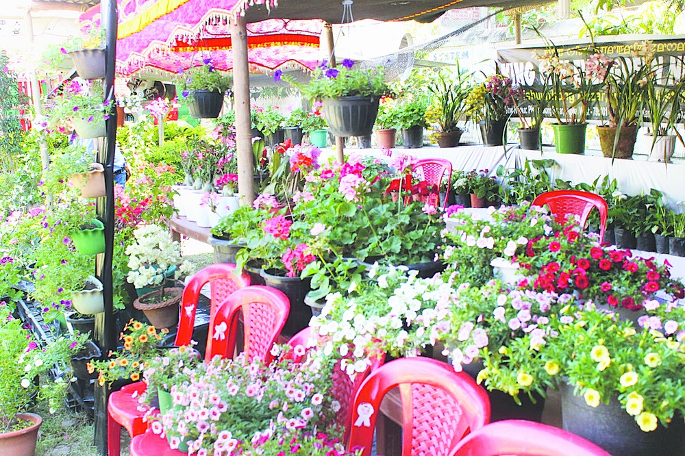 Flower show enthrals Manipur - Telegraph India