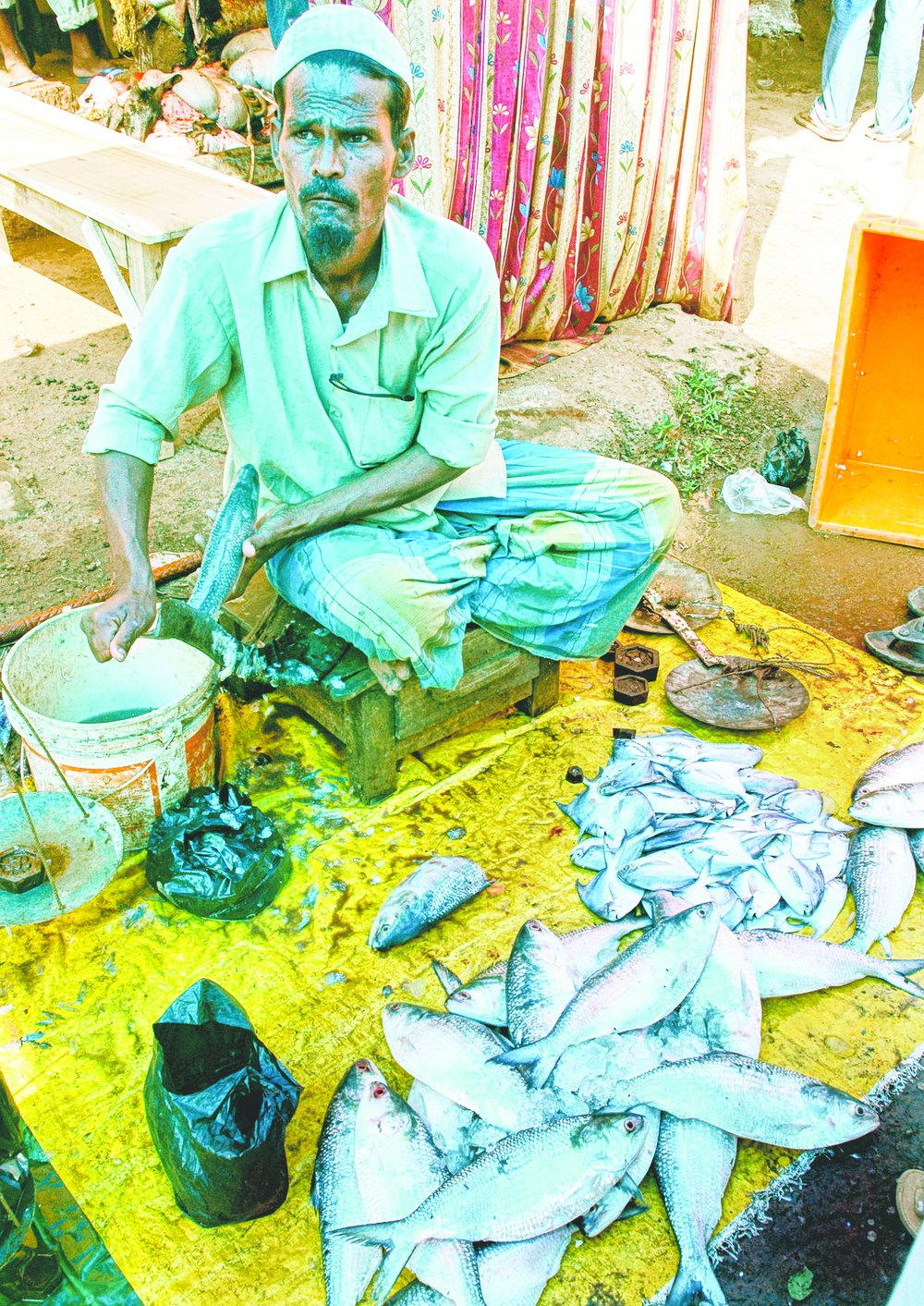 Fish thrill on wheels - Telegraph India