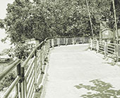 Survey to build 12 concrete jetties - Telegraph India