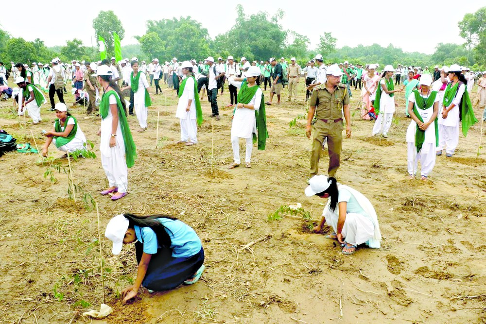 8000 saplings for green Assam - Telegraph India