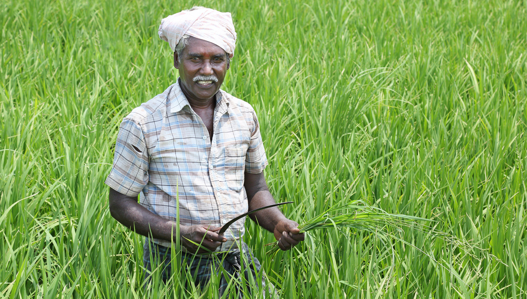 Minimum Daily Wage Norm Worker Shall Live By Bread Alone Telegraph India
