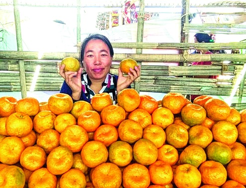Cold storage for orange growers - Telegraph India