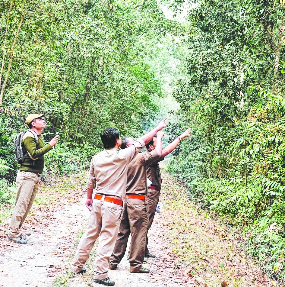 Ape lessons for forest guards - Telegraph India