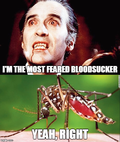 Zika Dengue Memes O Coronavírus E A Dengue Se Encontrando