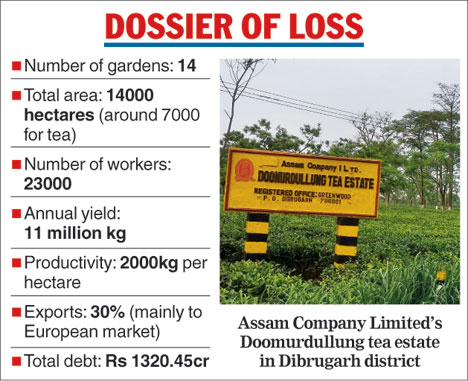 Oldest tea company to go under hammer - Telegraph India