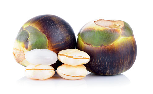 Palm: Leaves for fan, sap for drinks... - Telegraph India