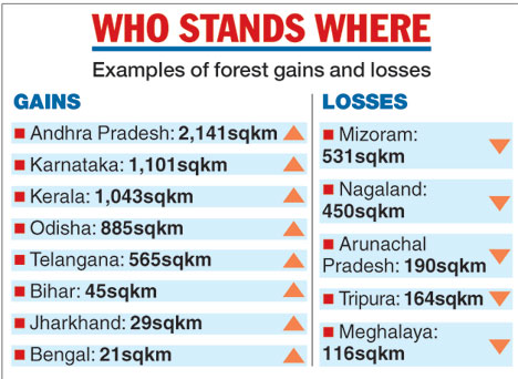 Forest and tree cover gain for India - Telegraph India